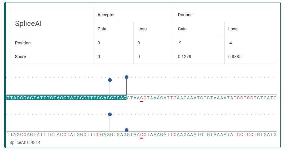 Archigene Documentation v1.3